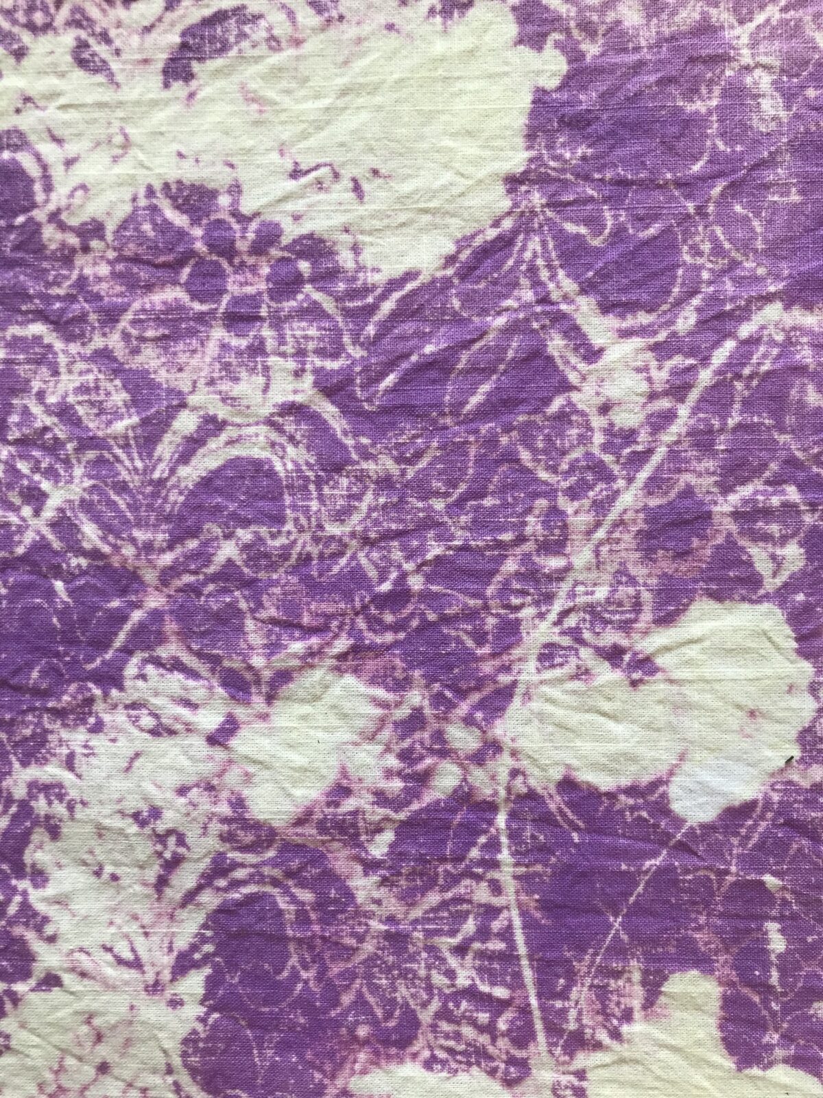 Anna Merati – FOUNDATION 2019-20