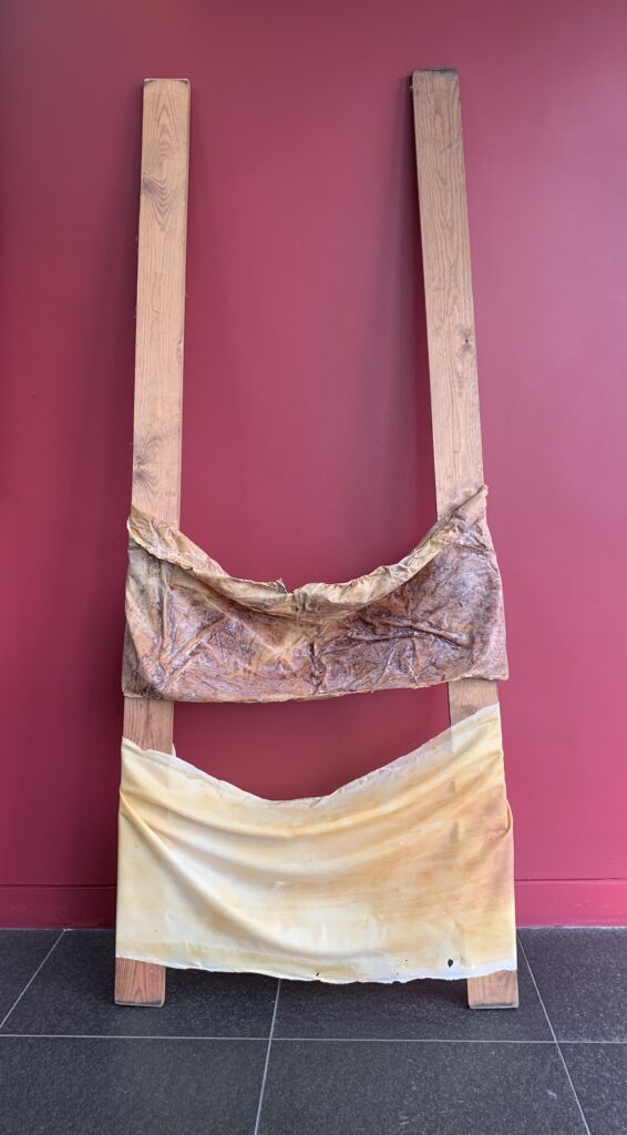 Laura Compton – FOUNDATION 2019-20